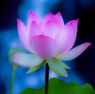 Иконка канала Медитация и мантры Панические атаки.