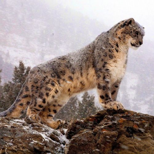 Иконка канала ПТО. ДОКУМЕНТООБОРОТ.