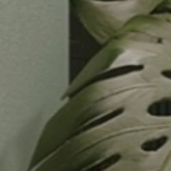 Иконка канала ООО "Антология декора"