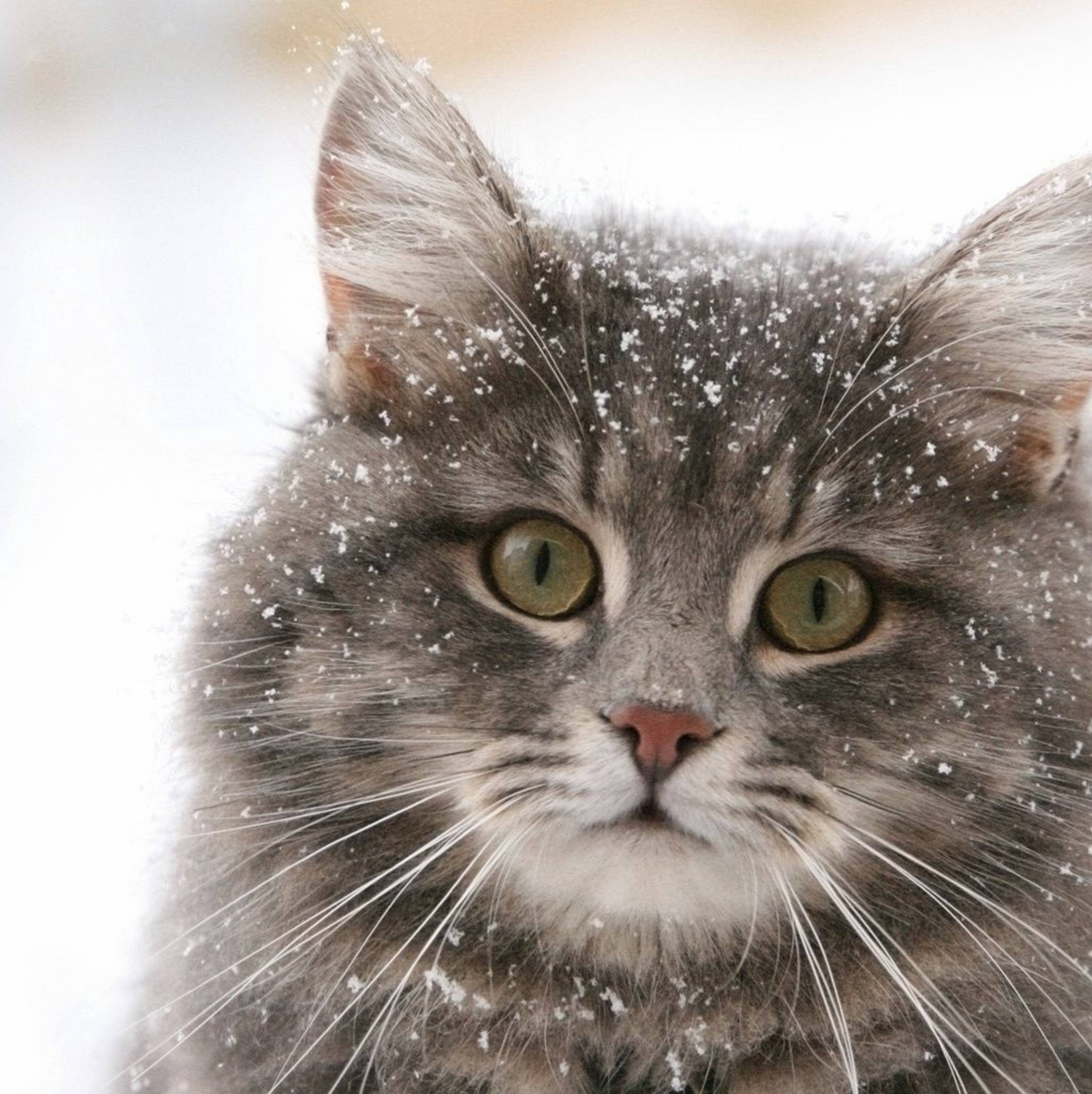 Иконка канала КусOk