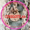 Иконка канала СПАСАТЕЛЬ, вскрытия замков Новосибирск