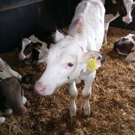 Иконка канала Джонатан Стедман