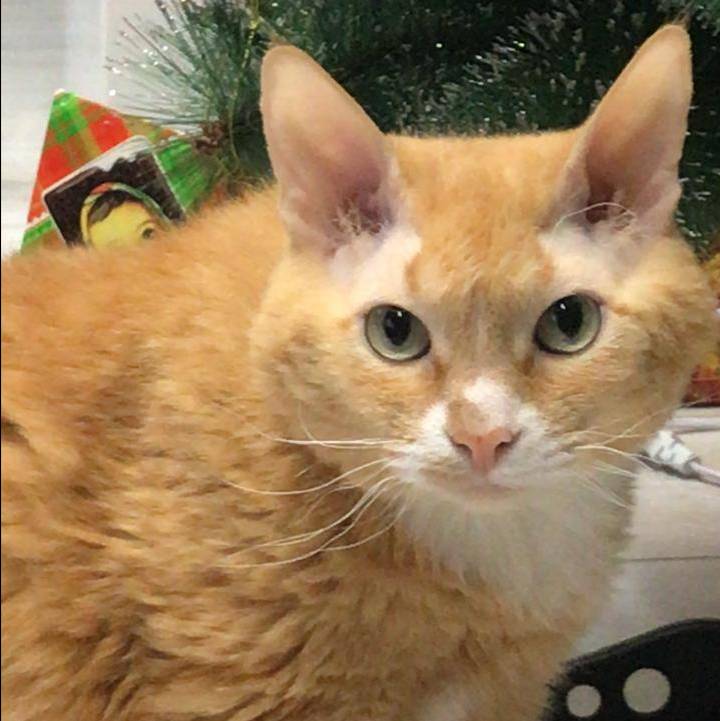 Иконка канала BogdanCS2