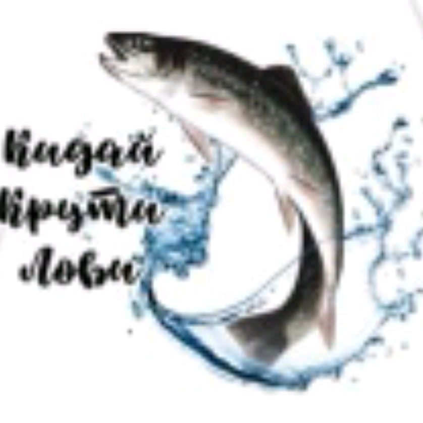 Иконка канала Кидай Крути Лови