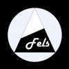Иконка канала FELS wear