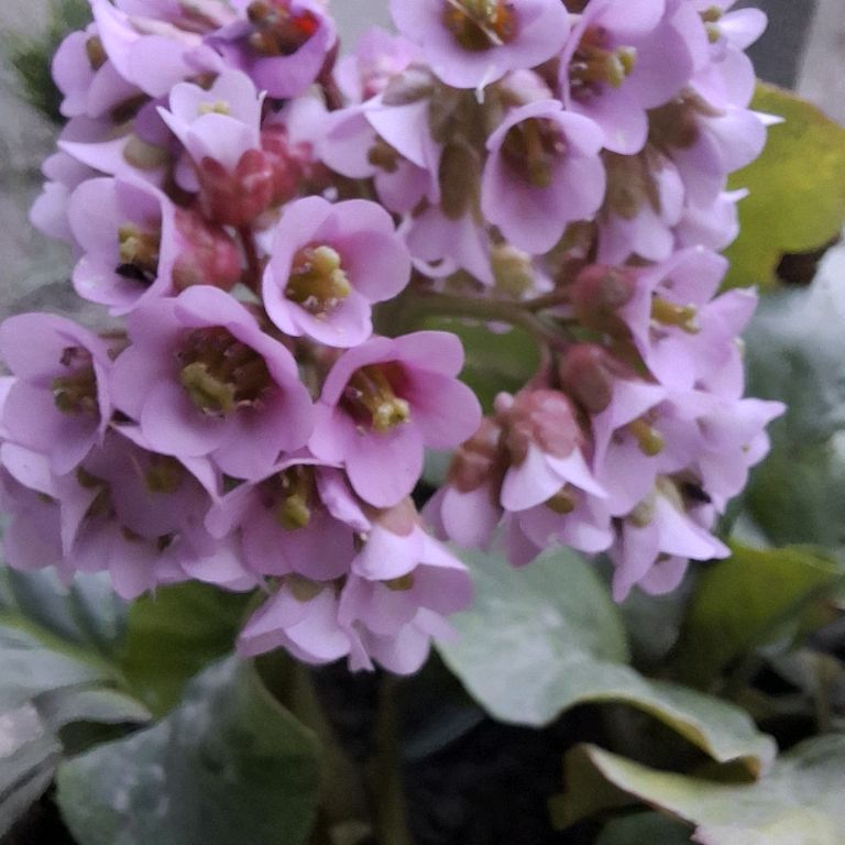 Иконка канала Ялюблюсвоюземлю🫶