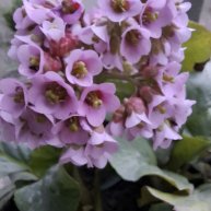 Иконка канала Ялюблюсвоюземлю🫶