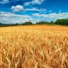 Иконка канала DroidR