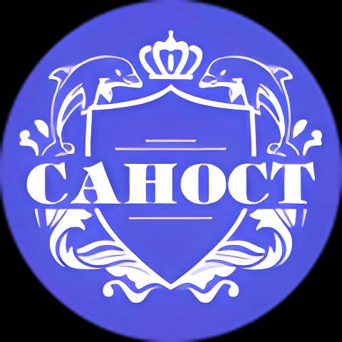 Иконка канала САНОСТ ТВ — Всё о сантехнике и не только!