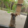 Иконка канала Neym_
