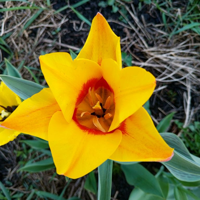 Иконка канала Поклейка обоев, шпатлёвка малярные работы в Пензе