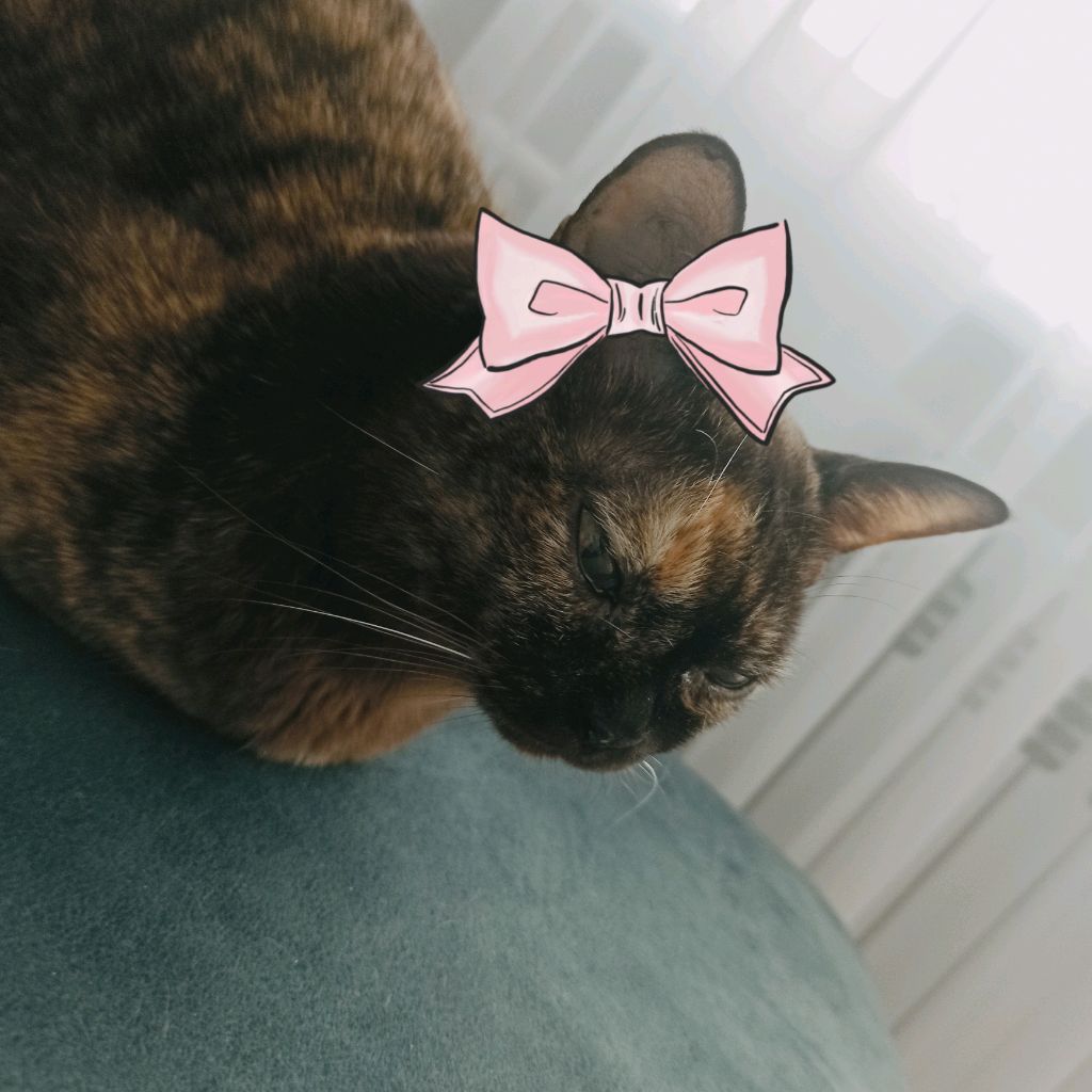 Иконка канала ℙ𝕠𝕝𝕚𝕟𝕒_𝕔𝕒𝕥