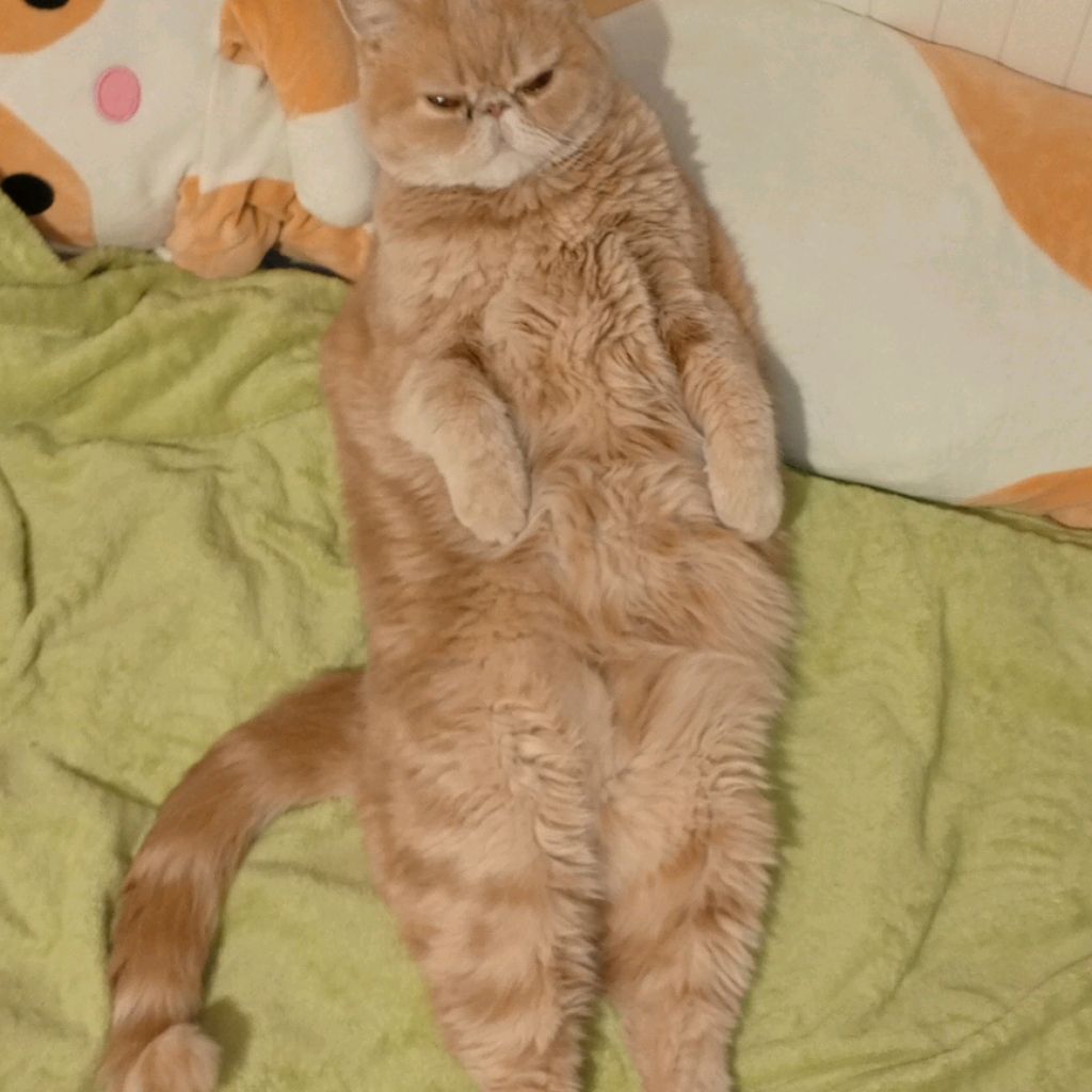 Иконка канала Стик Вар