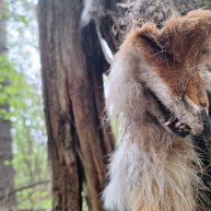 Иконка канала Ужасы И Страшные Рассказы