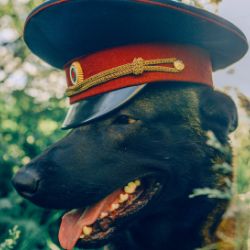 Иконка канала Арчёнок