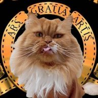 Иконка канала Funny Cats