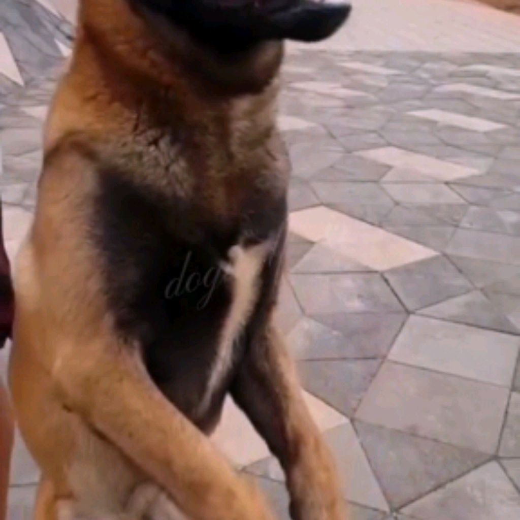 Иконка канала Багатый🤑🤑🤑🤑