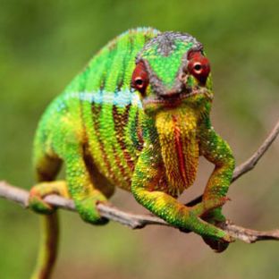 Иконка канала ЗАПИСНАЯ КНИЖКА ПУТЕШЕСТВЕННИКА