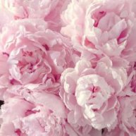 Иконка канала ИЗО-БЕЛЬЕ