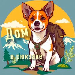Иконка канала Дом в рюкзаке l Путешествия и походы