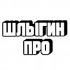 Иконка канала Шлыгин про