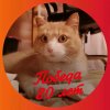 Иконка канала Думир_72