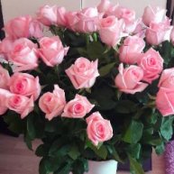 Иконка канала Стильное вязание с Галиной