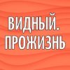 Иконка канала ВИДНЫЙ. ПРО ЖИЗНЬ