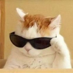 Иконка канала Valeria_Krav