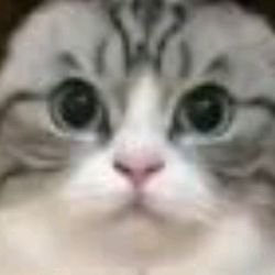 Иконка канала таганрог бухает