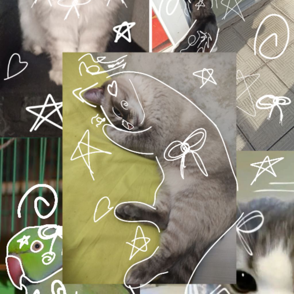 Иконка канала ~Sima~#///@Элич