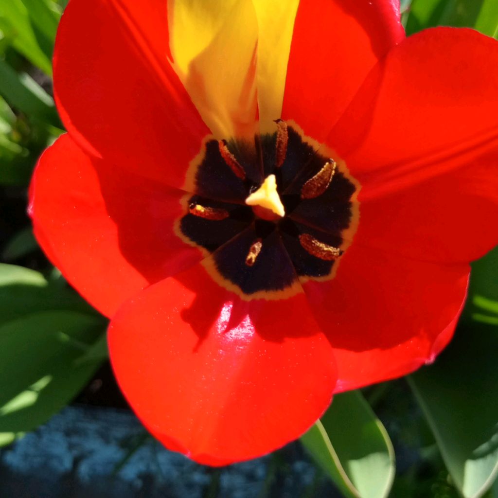 Иконка канала Надежда