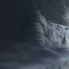 Иконка канала anons