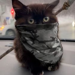 Иконка канала MNWAGG