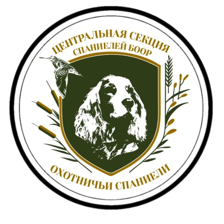 Иконка канала ЦСС РГОО БООР "Охотничьи спаниели"