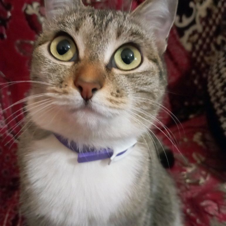 Иконка канала Александр