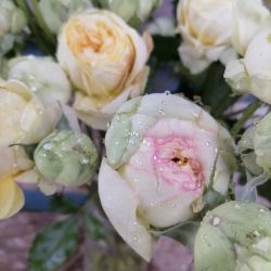 Иконка канала channel52249893