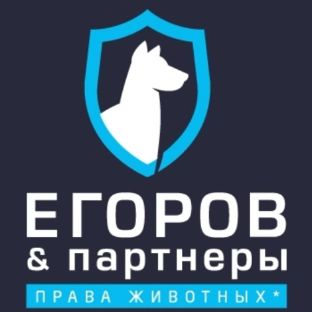 Иконка канала Егоров и партнеры права животных