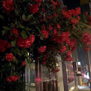 Иконка канала Юлия Ефимова