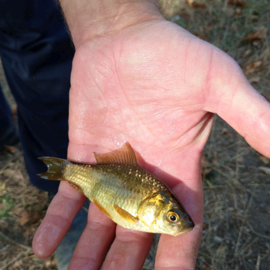 Иконка канала GusevAndrei1984!
