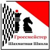 Иконка канала Шахматная Школа "Гроссмейстер"
