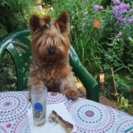 Иконка канала Еда Без Труда