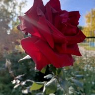 Иконка канала ОльгаВикторовна