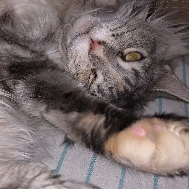 Иконка канала channel61025664