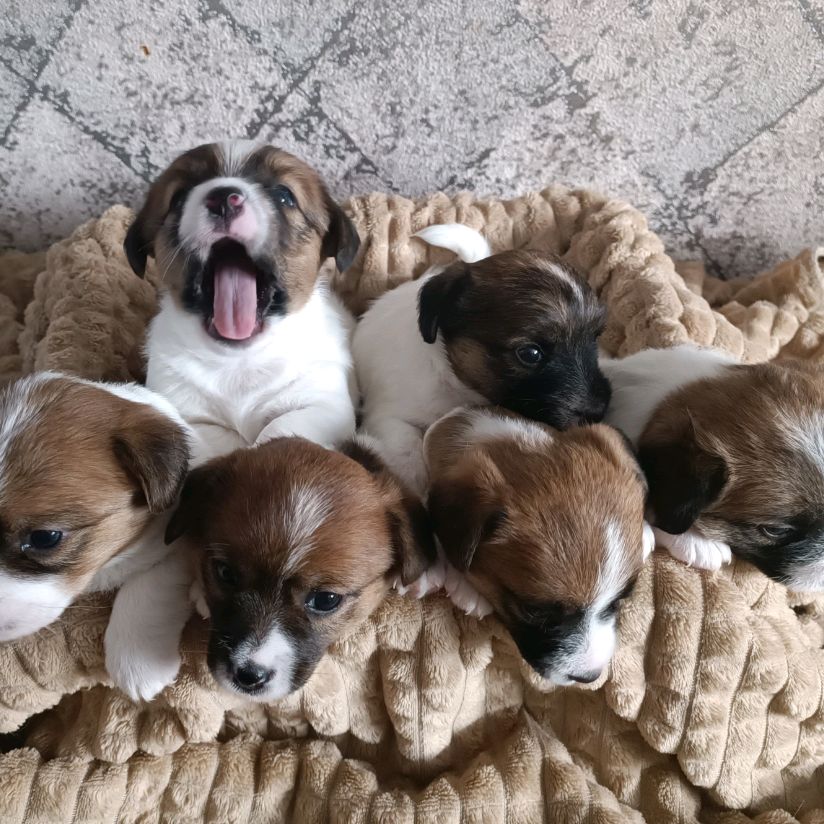 Иконка канала Обо всем понемногу!