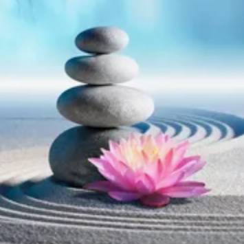 Иконка канала Лунная Симфония | Музыка для Сна и Медитации