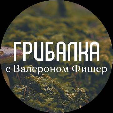 Иконка канала Грибалка С Валероном Фишер