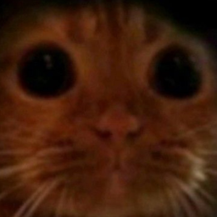 Иконка канала Русик228_Роблокс