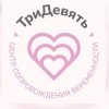 Иконка канала «ТриДевять»