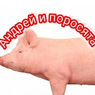 Иконка канала Андрей и поросята